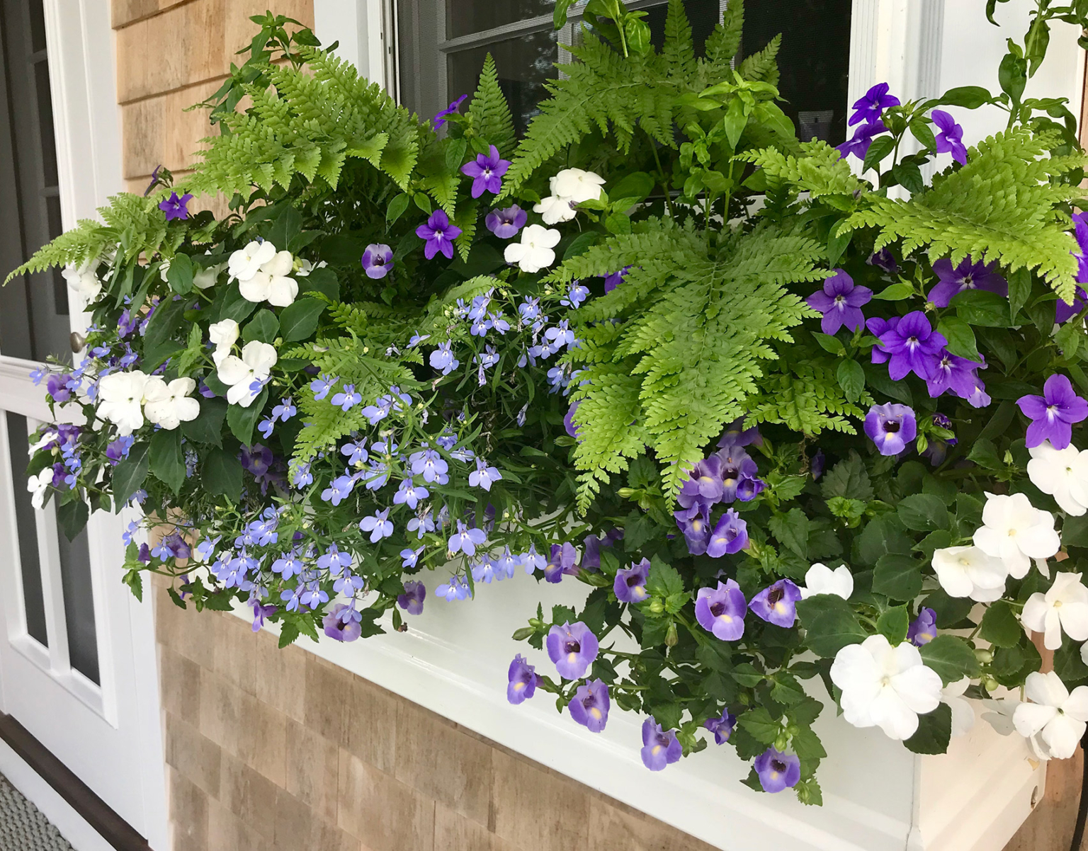 Nantucket Window Boxes and Containers by Ernst Land Design