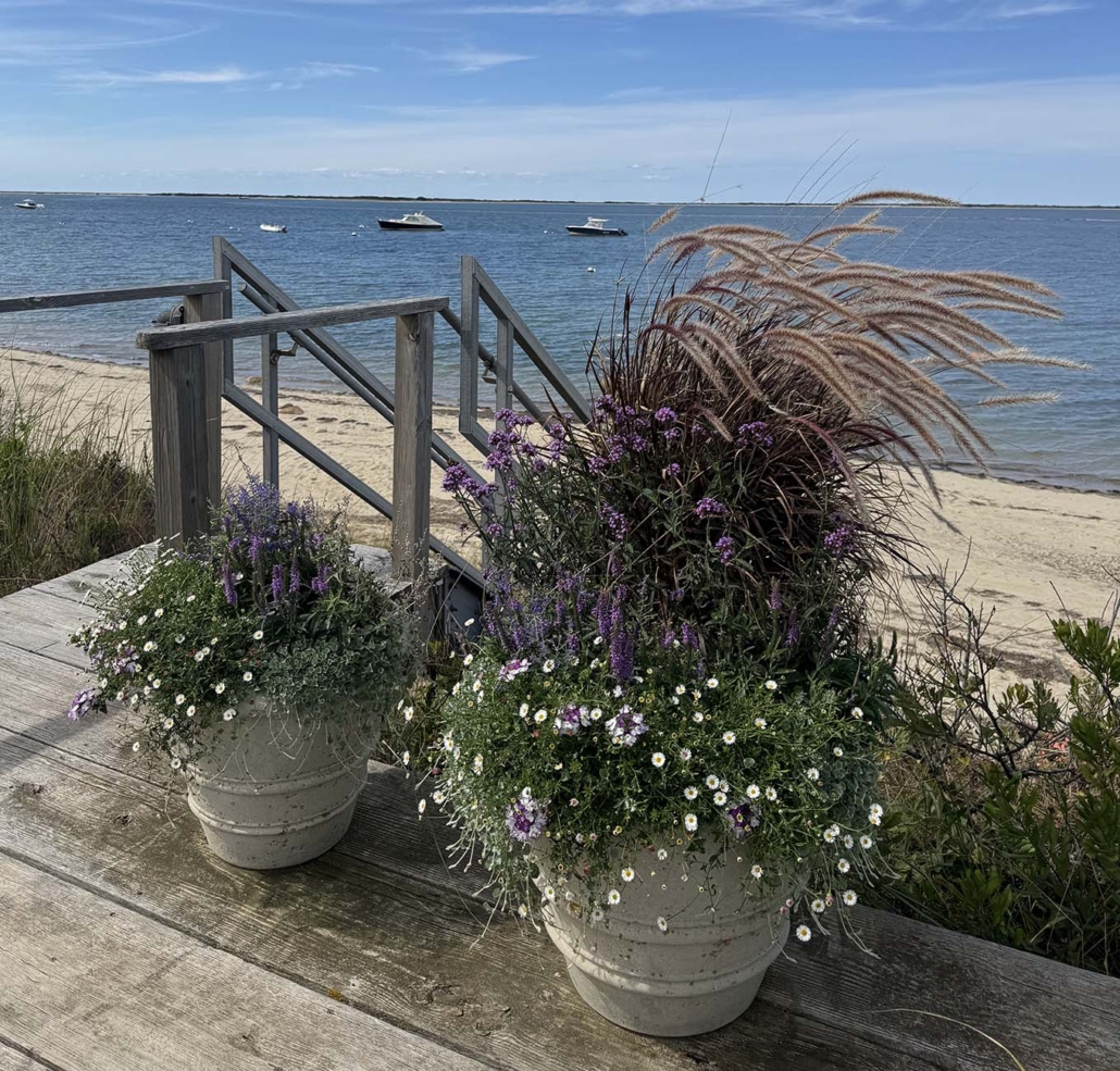 Nantucket Window Boxes and Containers by Ernst Land Design