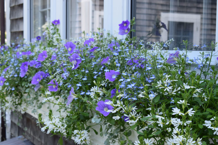 Nantucket Window Boxes and Containers by Ernst Land Design